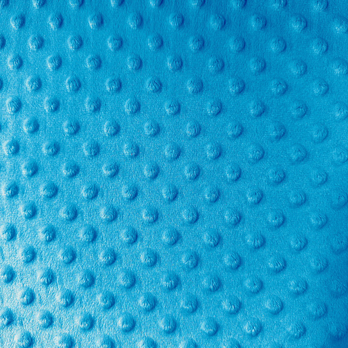 Minky Dot - Bleu *Lire description* – NoirBlanc.ca
